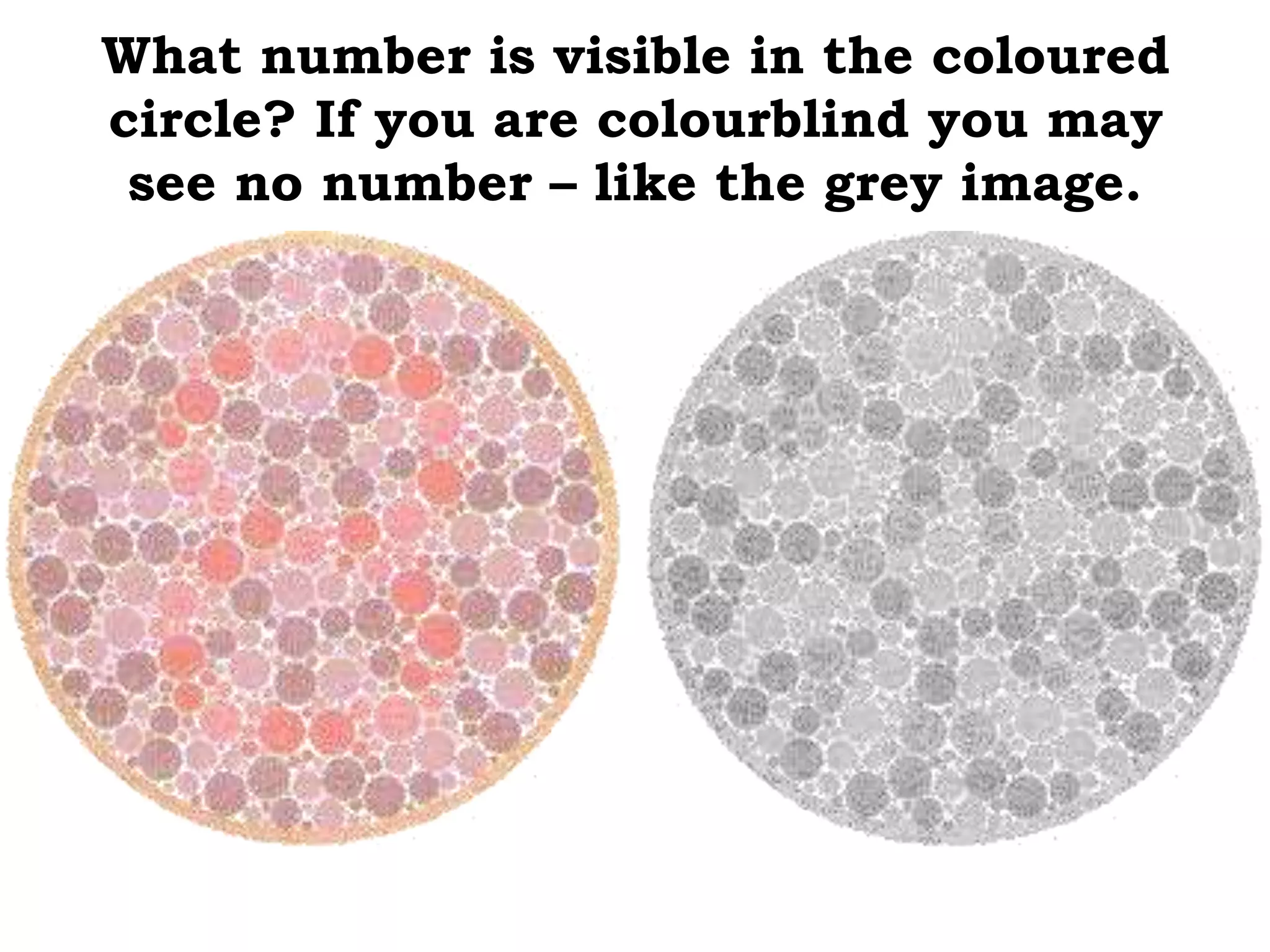 .archOptical_Illusions.pptx