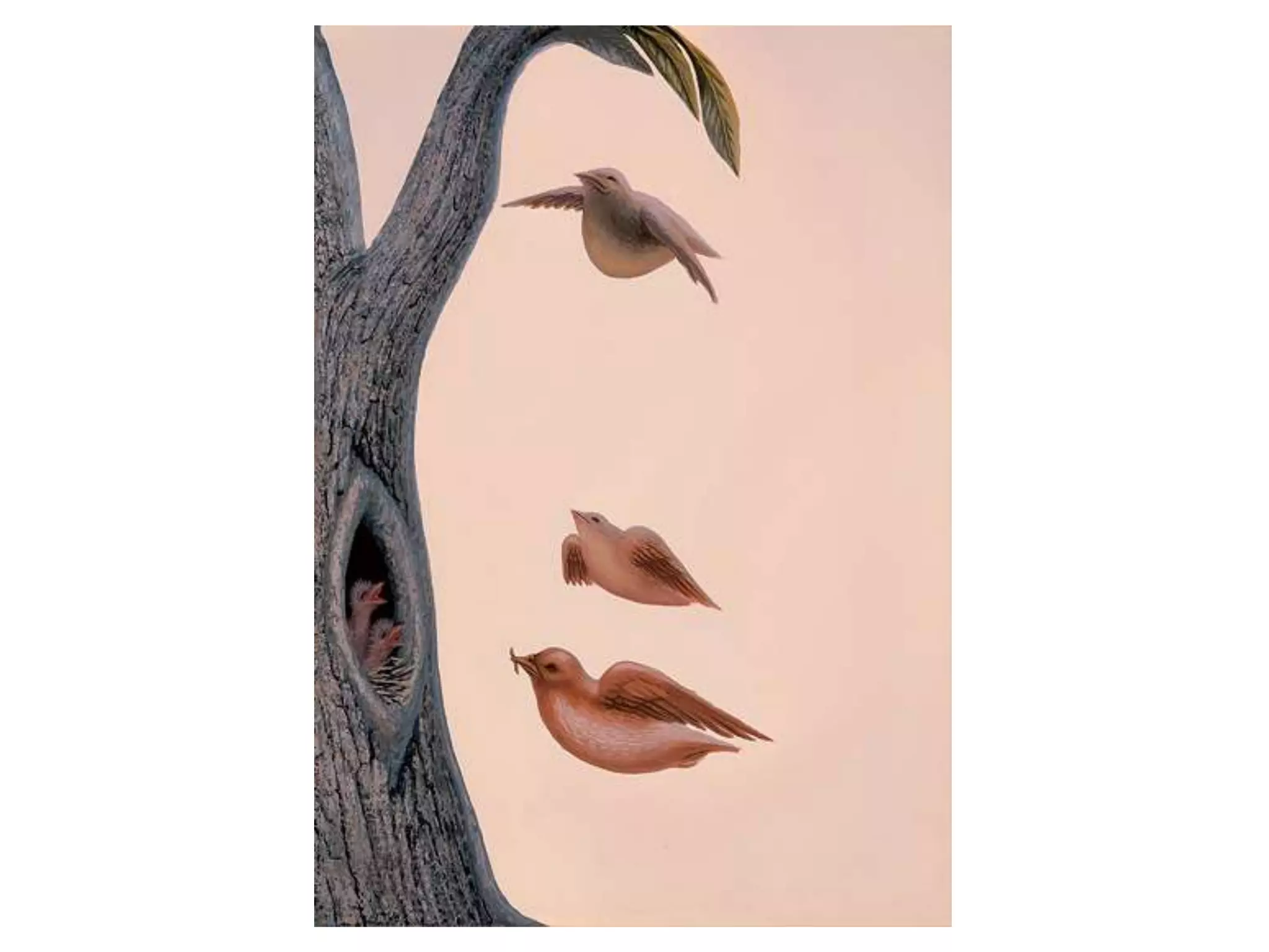 .archOptical_Illusions.pptx