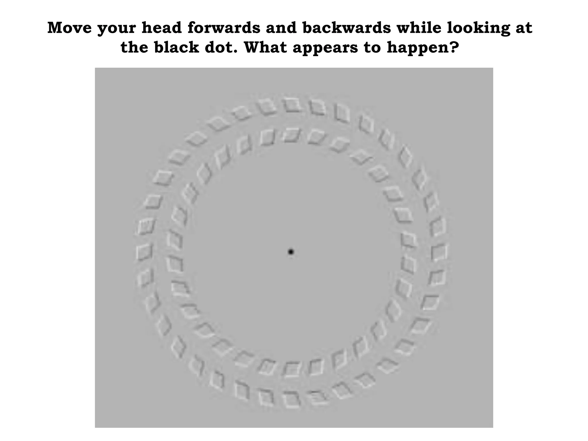 .archOptical_Illusions.pptx