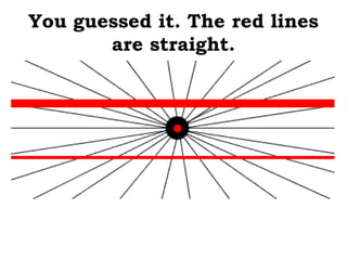 .archOptical_Illusions.pptx