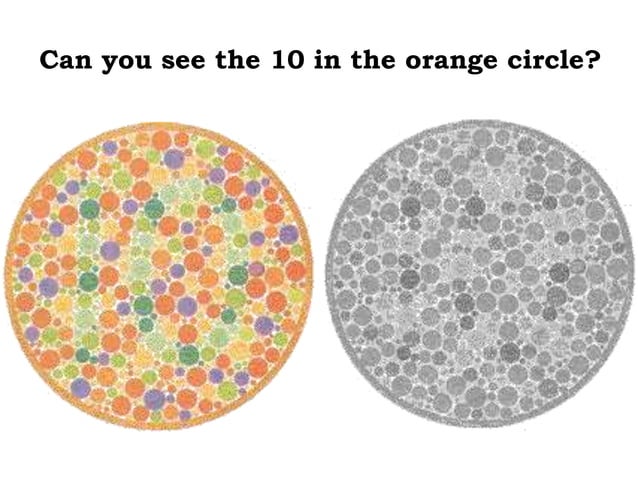 .archOptical_Illusions.pptx