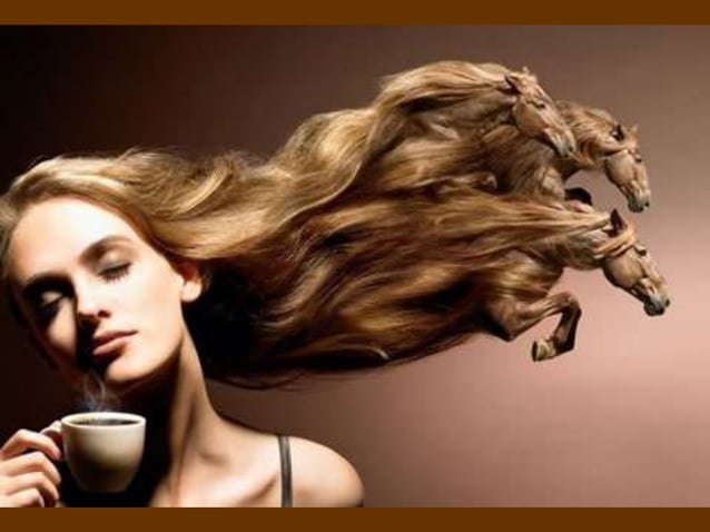 .archOptical_Illusions.pptx