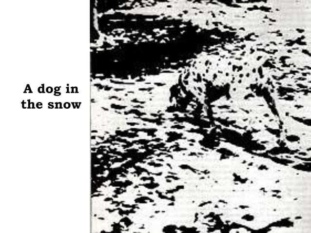 .archOptical_Illusions.pptx