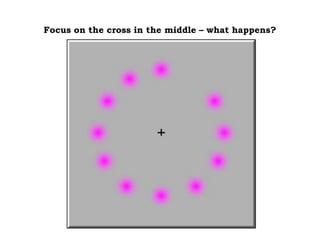 .archOptical_Illusions.pptx