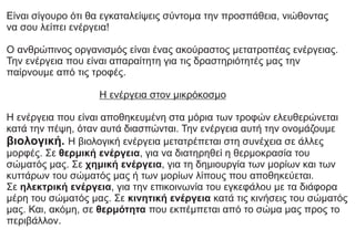 Τροφές και ενέργεια.pdf