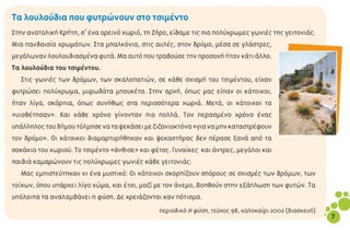 Ο φίλος μας το δάσος Τ.Ε..pdf