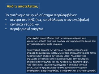 Αυτόνομο Νευρικό Σύστημα.pptx