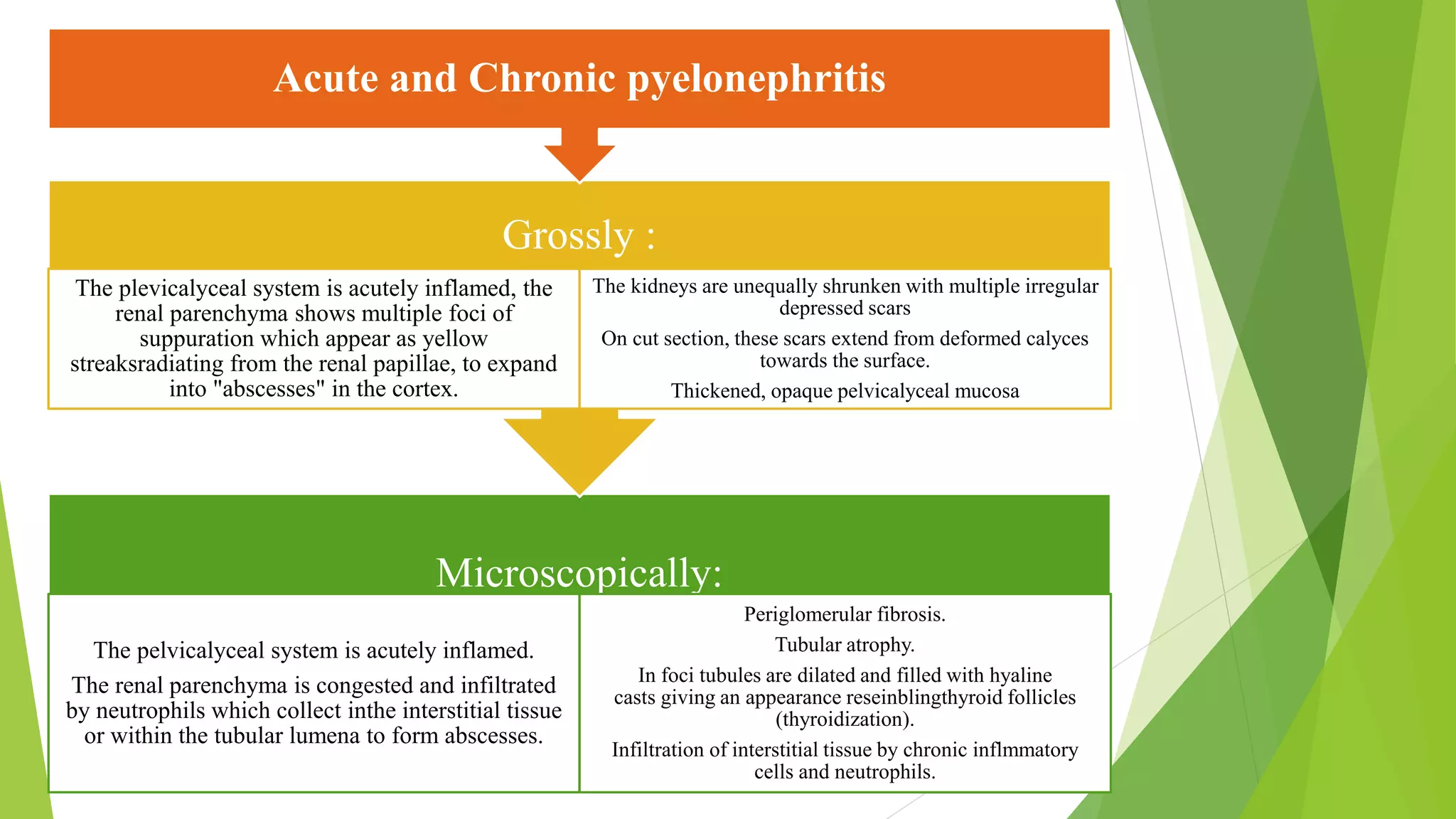 ПИЕЛОНЕФРИТ ПРЕЗЕНТАЦИЯ.pptx