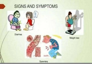 b.coli | Digestive Disorders | Diseases and Conditions