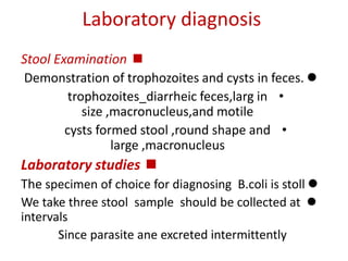 b.coli | Digestive Disorders | Diseases and Conditions