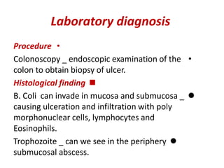 b.coli | Digestive Disorders | Diseases and Conditions