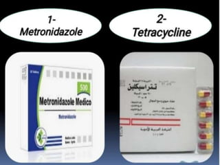 b.coli | Digestive Disorders | Diseases and Conditions