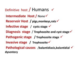 b.coli