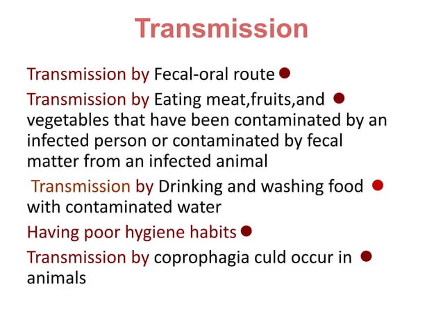 b.coli | Digestive Disorders | Diseases and Conditions