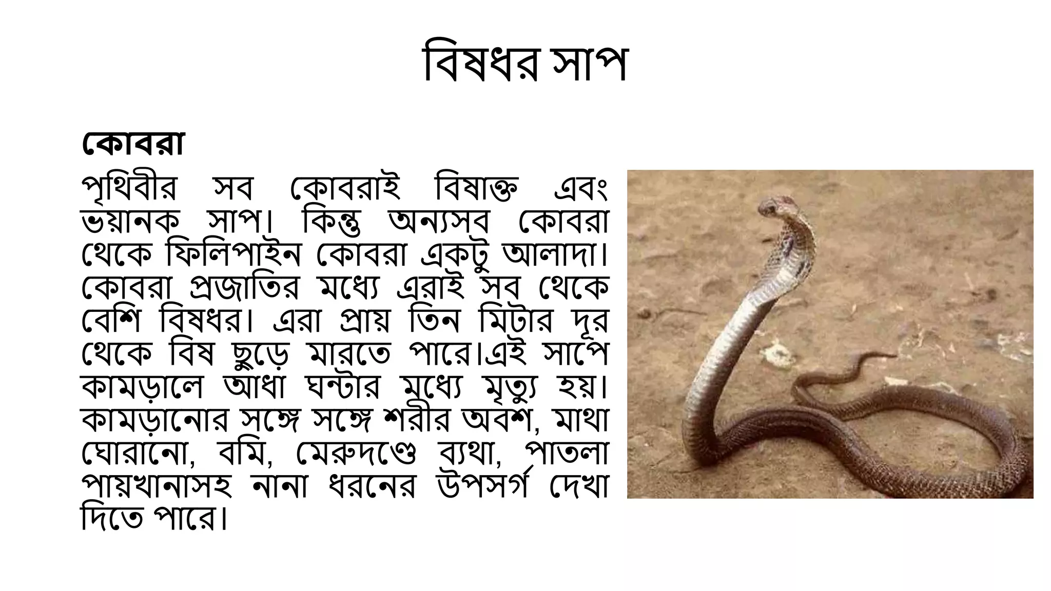Snake -Bangladesh by Abdul Hai সাপ.pptx