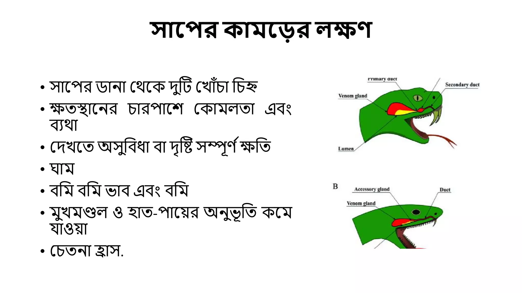 Snake -Bangladesh by Abdul Hai সাপ.pptx