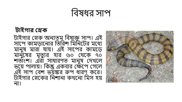 Snake -Bangladesh by Abdul Hai সাপ.pptx