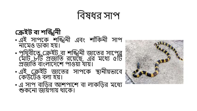 Snake -Bangladesh by Abdul Hai সাপ.pptx