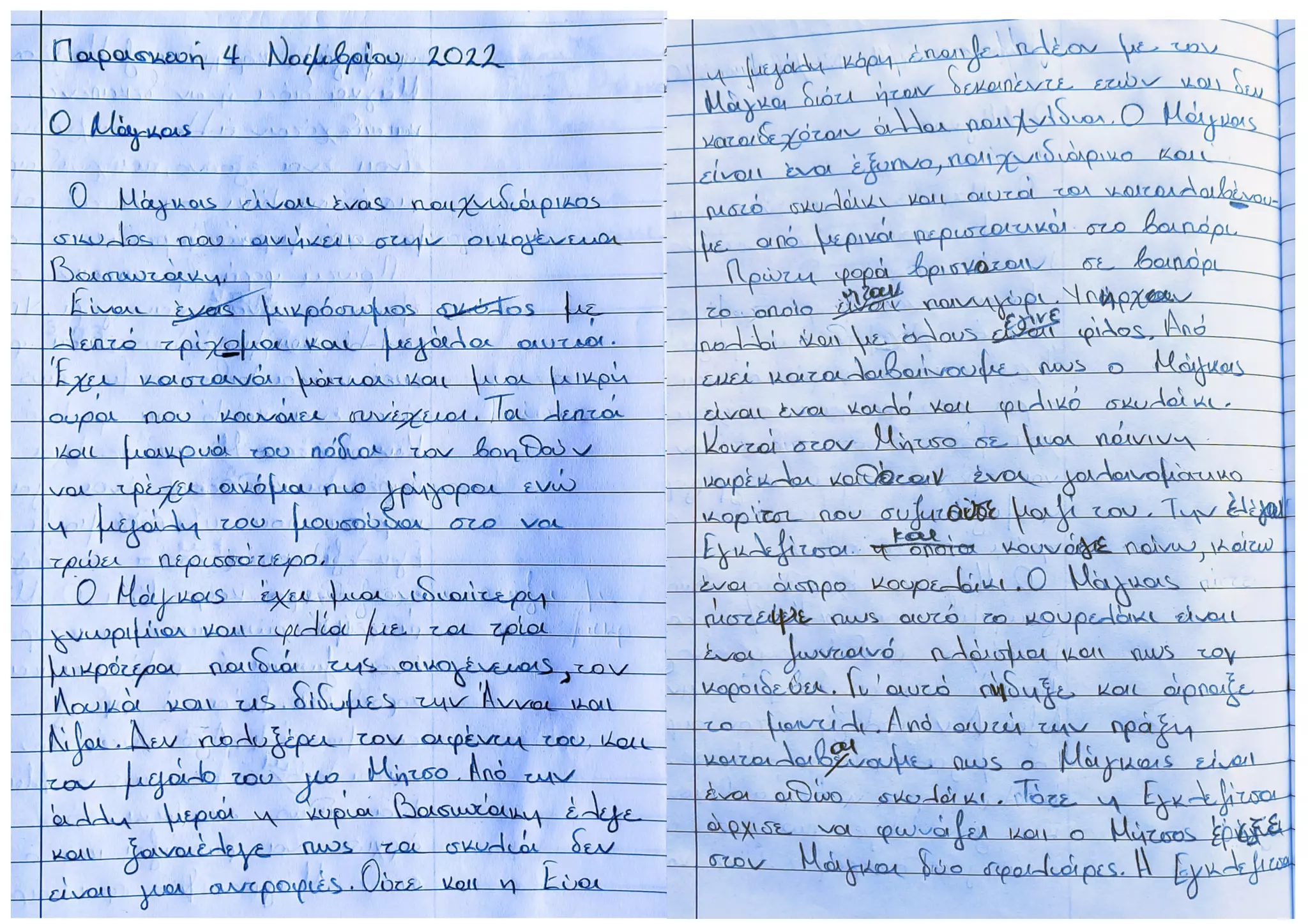 Περιγραφή και χαρακτηρισμός Μάγκα.pdf