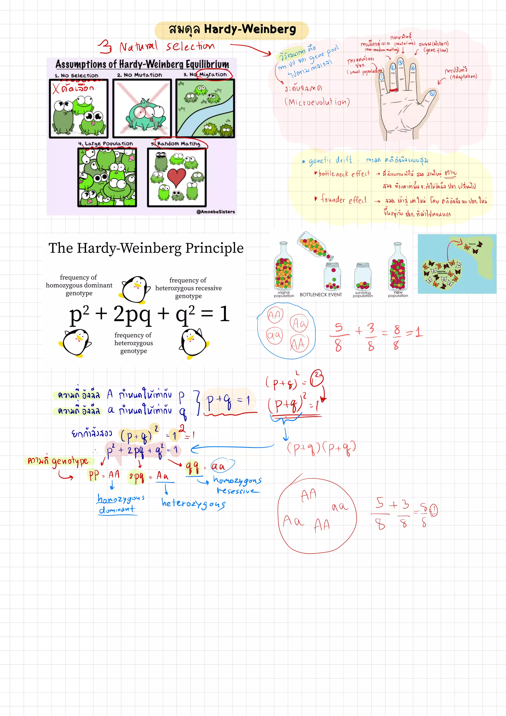 ชีทสรุป ม.4 เทอม 2 โดยครูเนยวิภา.pdf