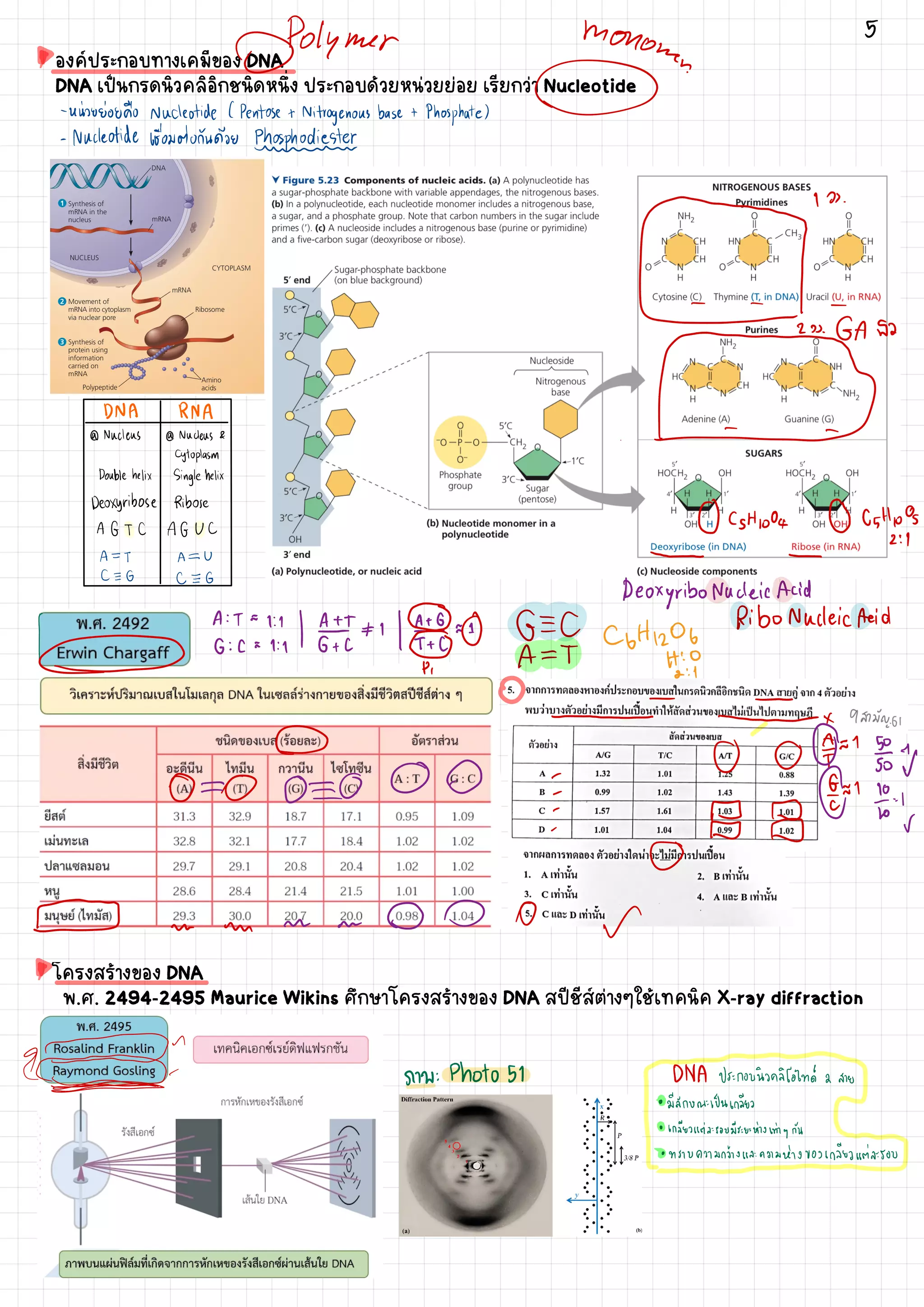 ชีทสรุป ม.4 เทอม 2 โดยครูเนยวิภา.pdf