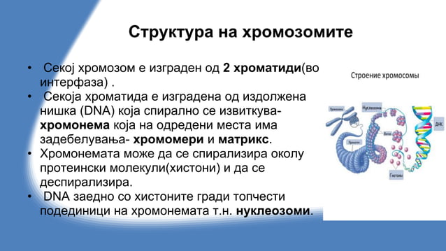 хромозоми.pptx
