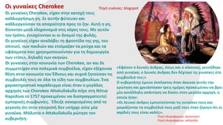 ΙΝΔΙΑΝΟΙ ΣΤ3-ΧΡΥΣΑ ΚΟΚΟΡΙΚΟΥ-2dimpefkis | PDF