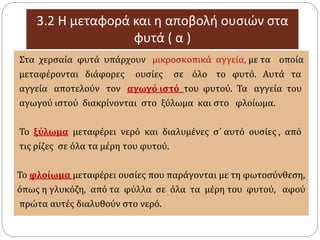 ΒΙΟΛΟΓΙΑ-Α΄-ΓΥΜΝΑΣΊΟΥ.pptx