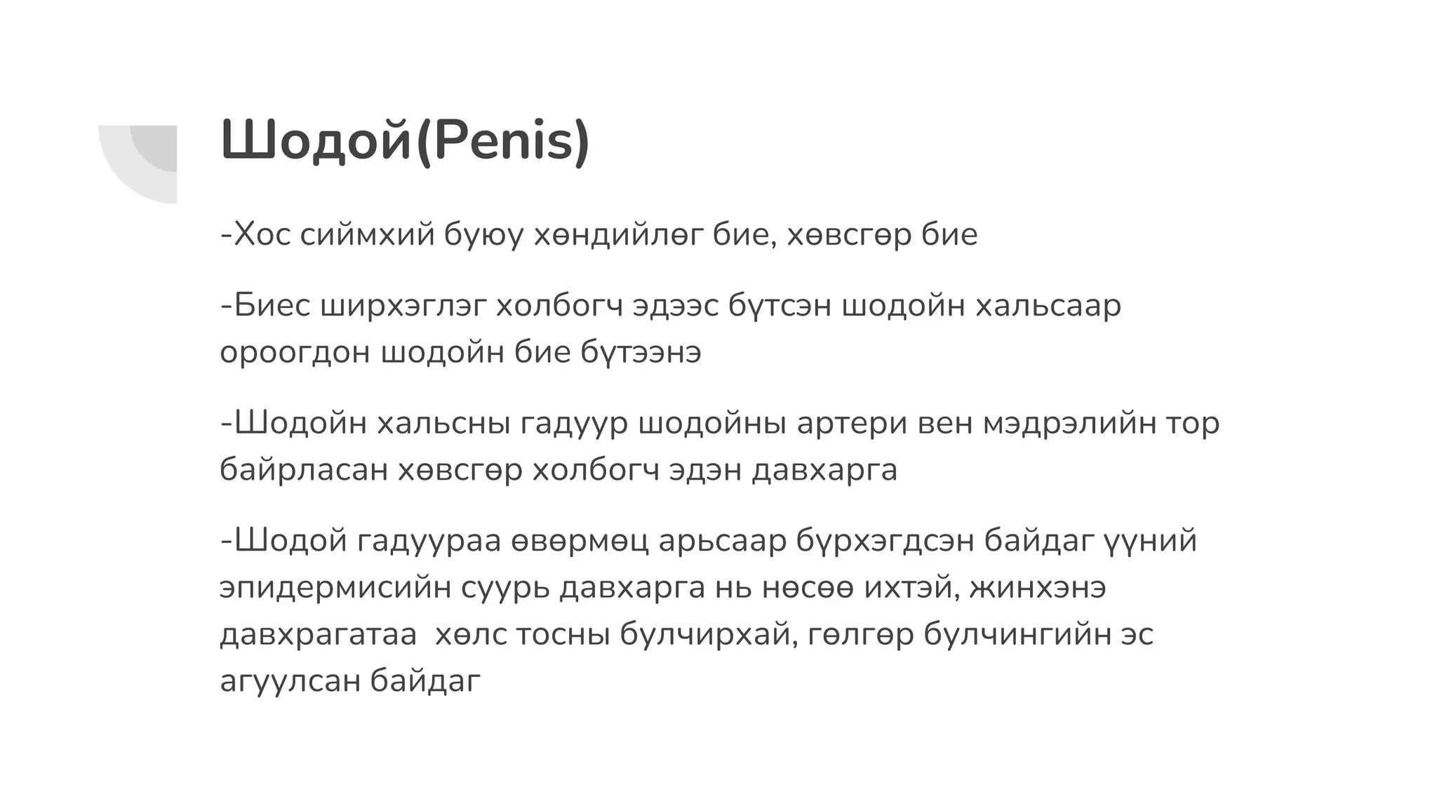 Эр бэлэг эрхтэн Гистологи Pptx