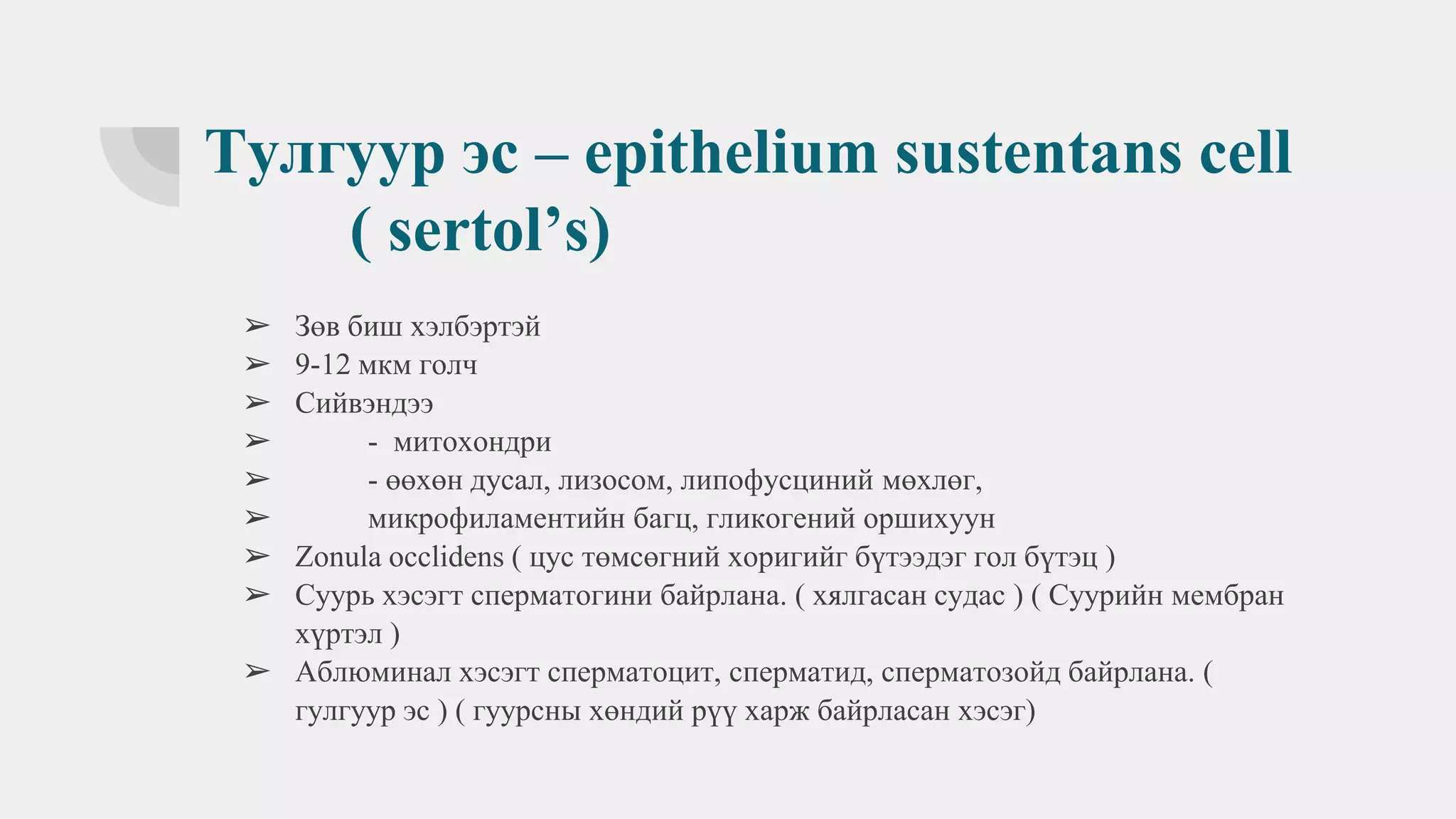 Эр бэлэг эрхтэн Гистологи Pptx