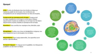 Φυσιολογικά_Παθολογικά κύτταρα.pdf