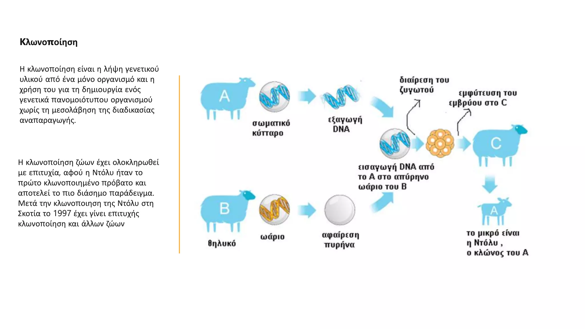 ΚΛΩΝΟΠΟΙΗΣΗ.pptx