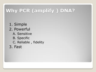 مي....PCR.pdf