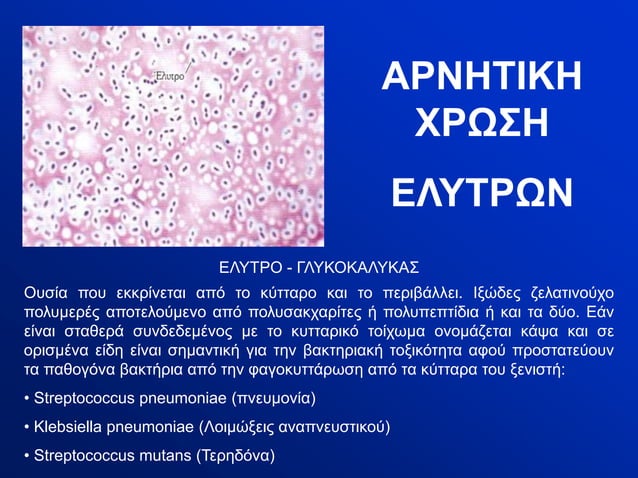 ΜΙΚΡΟΣΚΟΠΗΣΗ – ΠΑΡΑΣΚΕΥΑΣΜΑΤΑ - ΧΡΩΣΕΙΣ (ΑΜΕΣΗ ΑΝΙΧΝΕΥΣΗ ΒΙΟΛΟΓΙΚΟΥ ...