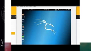 СВЯТ ЛОГІН «На які головні місця не звертає увагу тестувальник» Online QADay 2023 | PPT