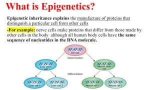 epigenetics.pptx