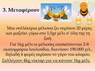 Το μέλι.ppt