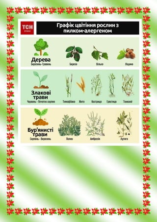 амброзія.docx