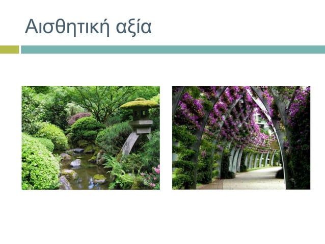 Ρόλος και σημασία των φυτών στην αρχιτεκτονική τοπίου.pptx