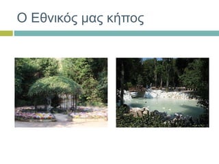 Ρόλος και σημασία των φυτών στην αρχιτεκτονική τοπίου.pptx