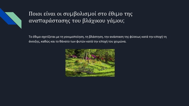 ΒΛΑΧΙΚΟΣ ΓΑΜΟΣ.pptx