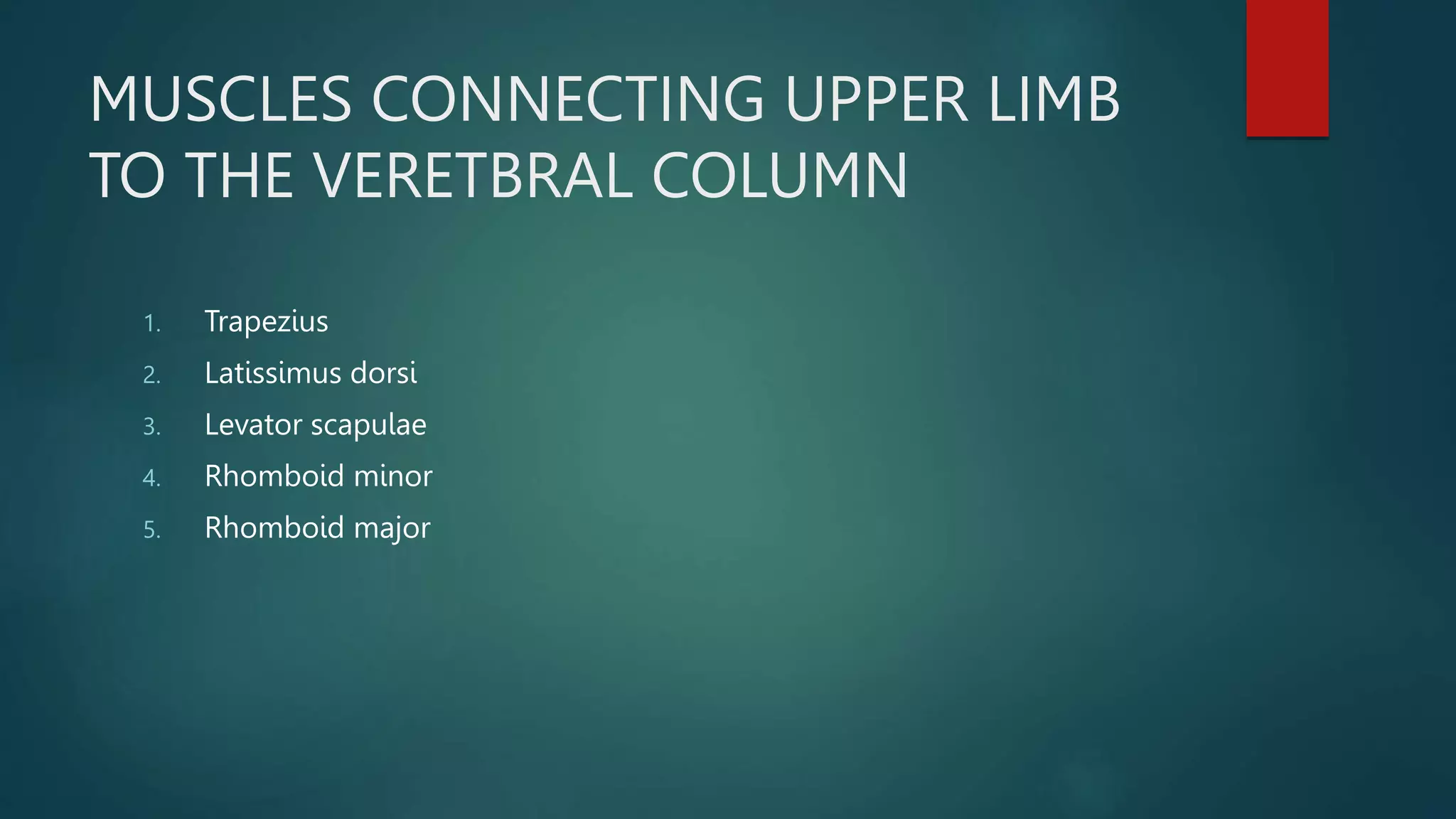 .UPPER LIMB MUSCLES-I.pptx