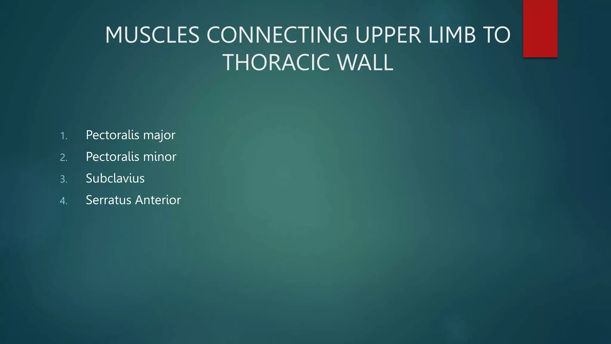.UPPER LIMB MUSCLES-I.pptx