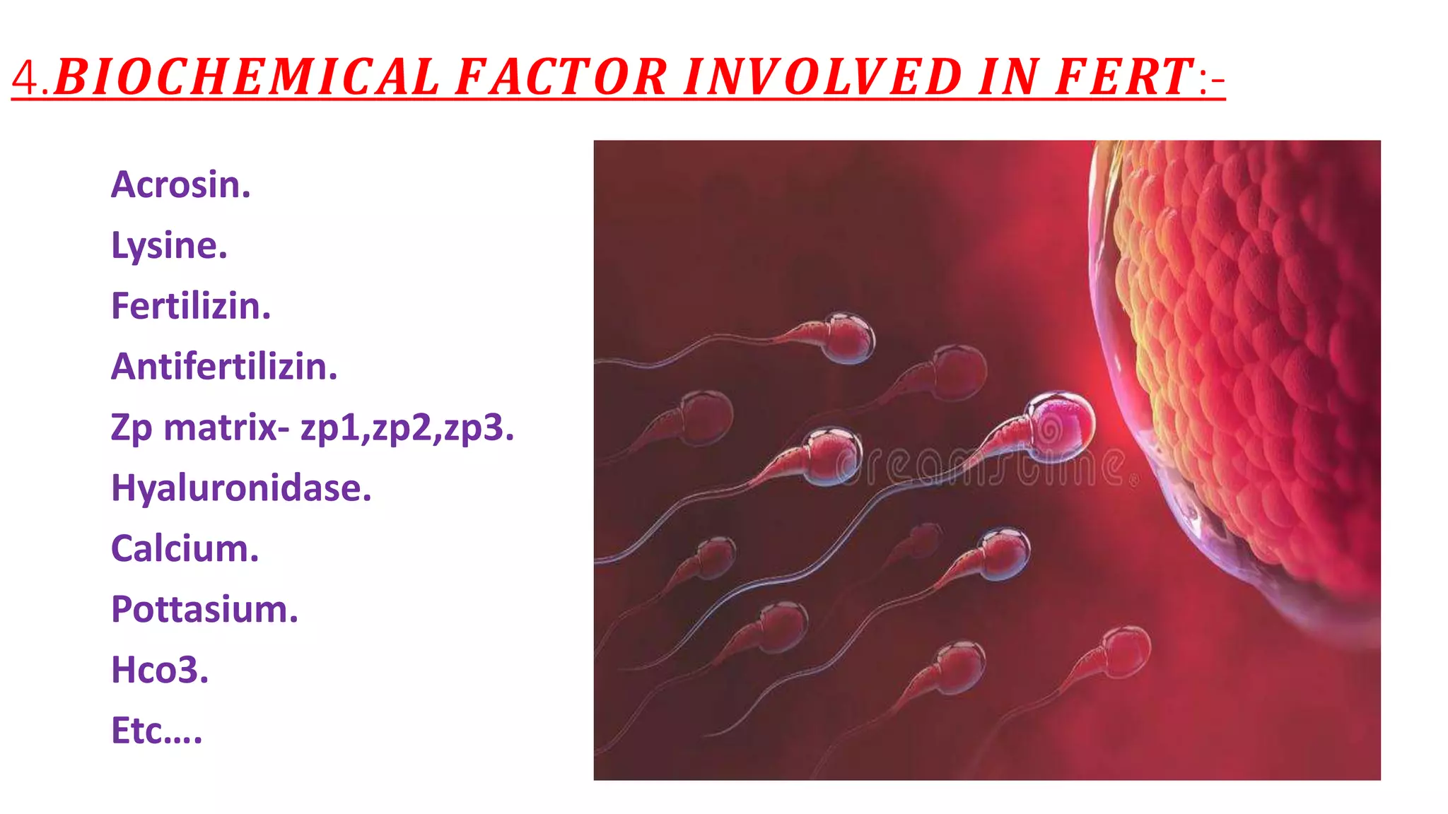 Biochemistry of fertilization. | PPTX