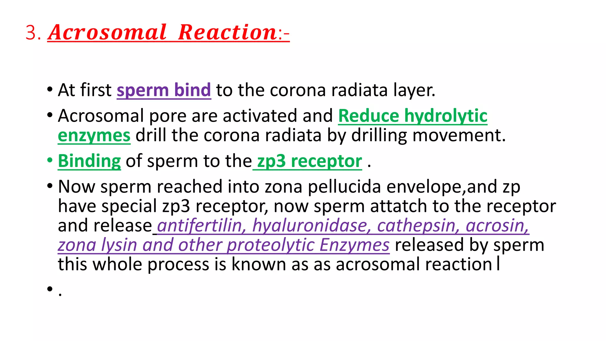 Biochemistry of fertilization. | PPTX
