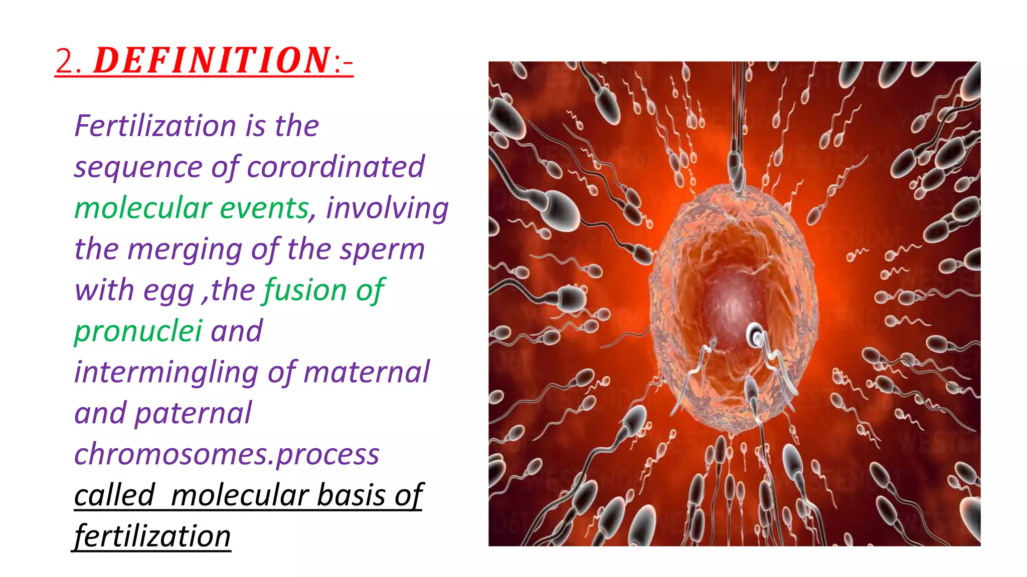 Biochemistry of fertilization. | PPTX