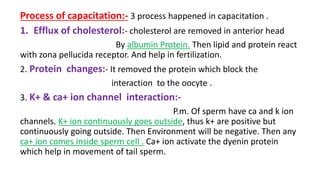 Biochemistry of fertilization. | PPTX