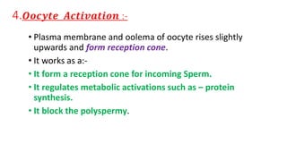 Biochemistry of fertilization. | PPTX