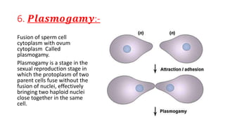 Biochemistry of fertilization. | PPTX