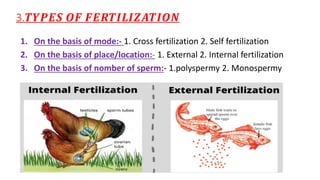 Biochemistry of fertilization. | PPTX | Infertility | Reproductive Health